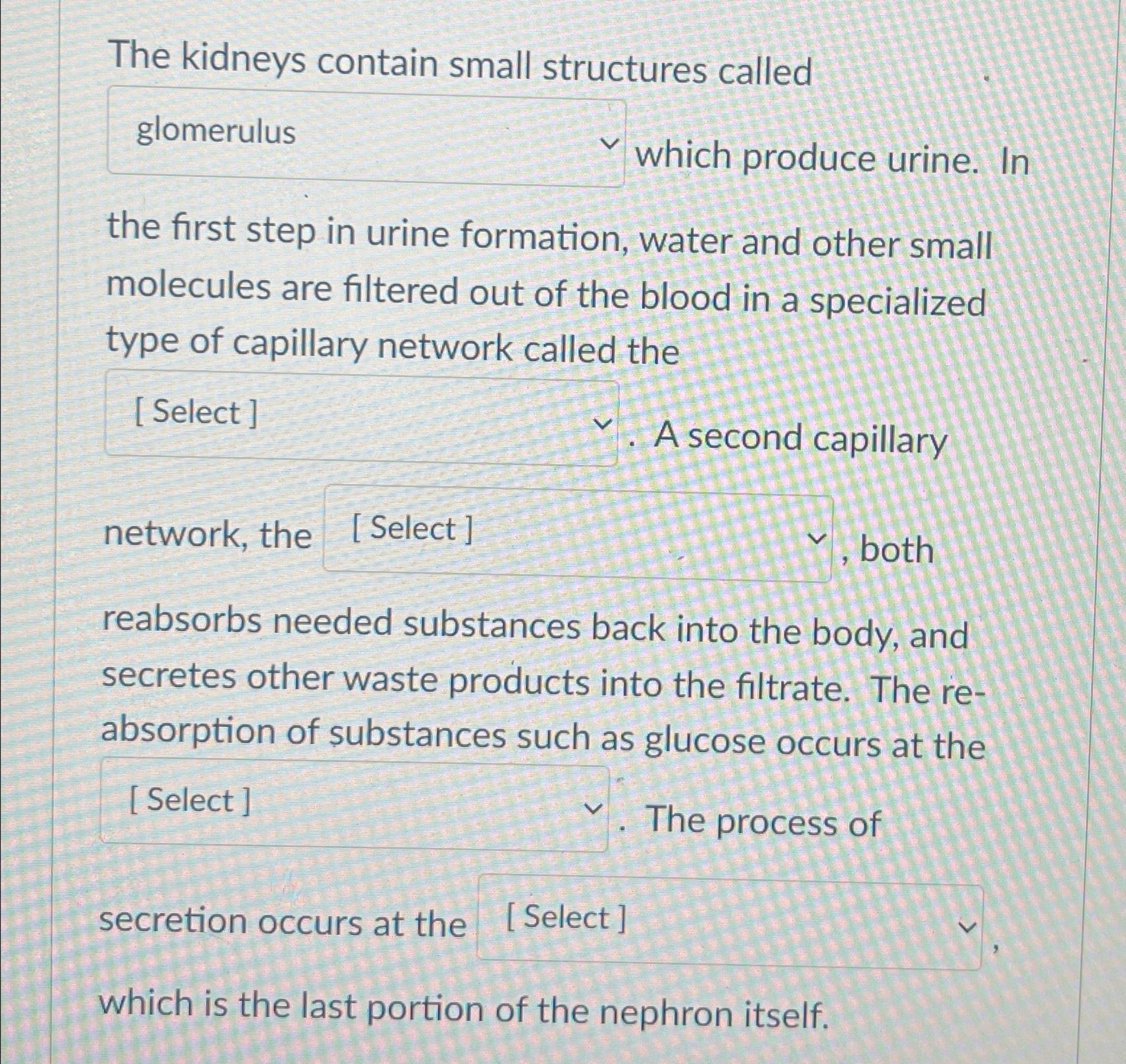 Solved The kidneys contain small structures called which | Chegg.com