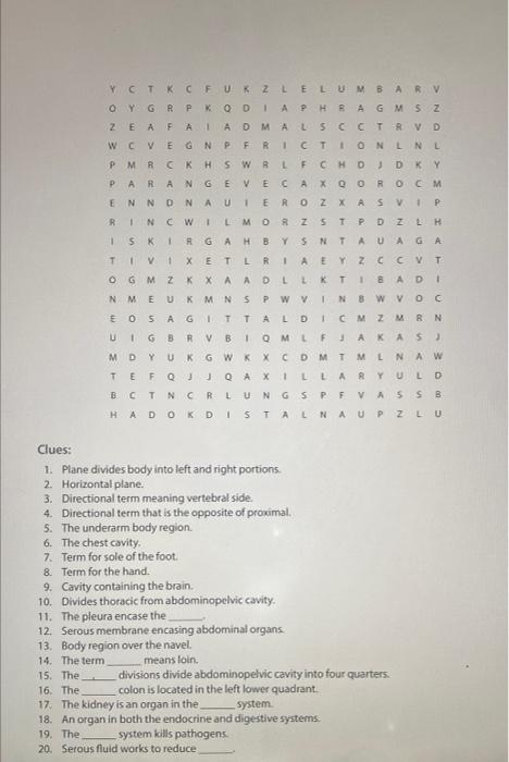 Solved Clues: 1. Plane divides body into left and right | Chegg.com