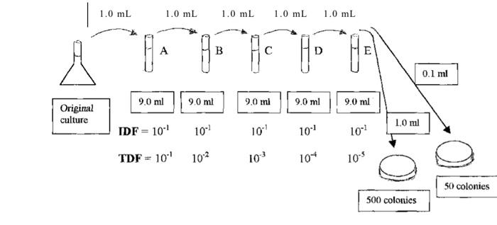 Practice problem F1: How many CFU/mL are in Tubes A,B | Chegg.com