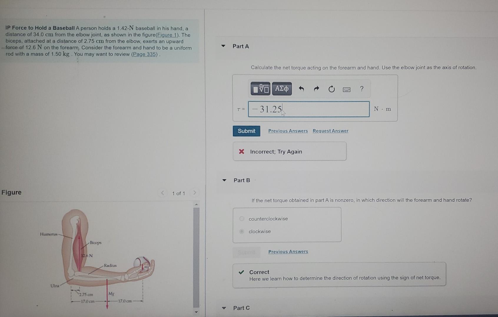 Solved IP Force to Hold a Baseball A person holds a 1.42-N | Chegg.com