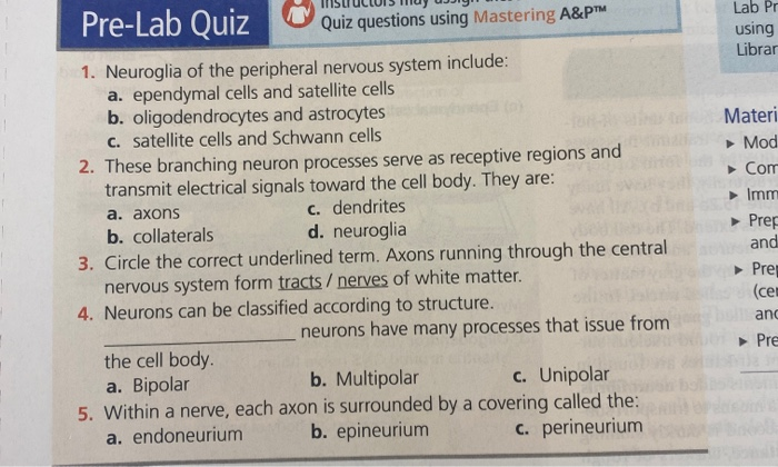 Solved Pre-Lab Quiz Quiz questions using Mastering A&P™ Lab | Chegg.com