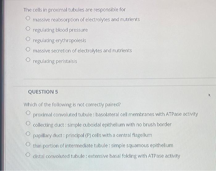 Solved The cells in proximal tubules are responsible for | Chegg.com