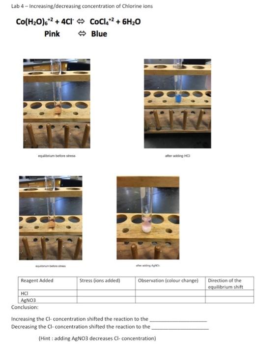 Solved EQUILIBRIUM LAB Equilibrium exists when the rates of | Chegg.com
