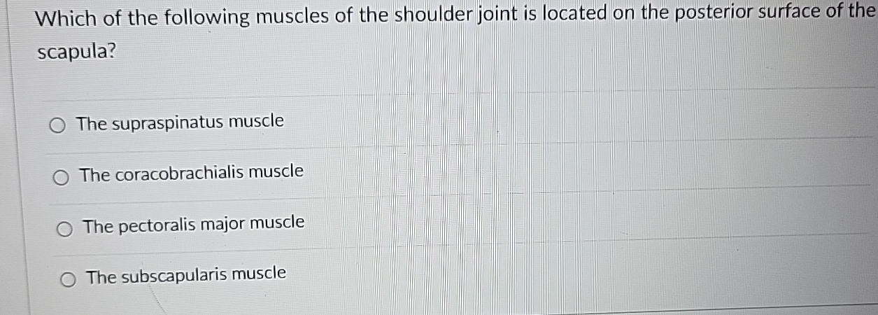 Solved Which of the following muscles of the shoulder joint | Chegg.com