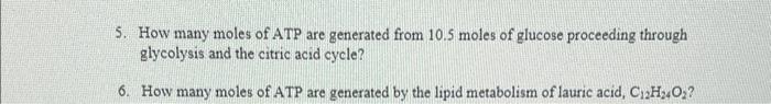 Solved 5. How many moles of ATP are generated from 10.5 | Chegg.com