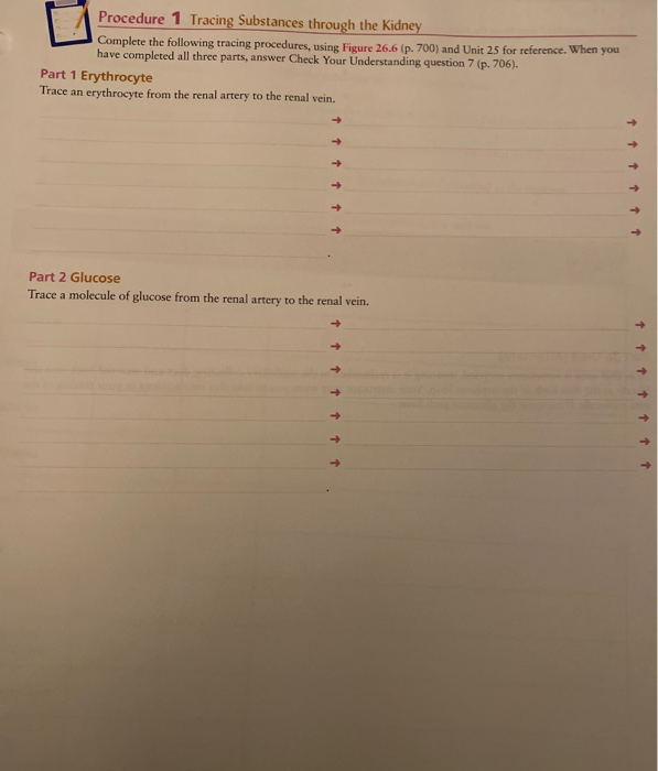Solved Procedure 1 Tracing Substances through the Kidney | Chegg.com