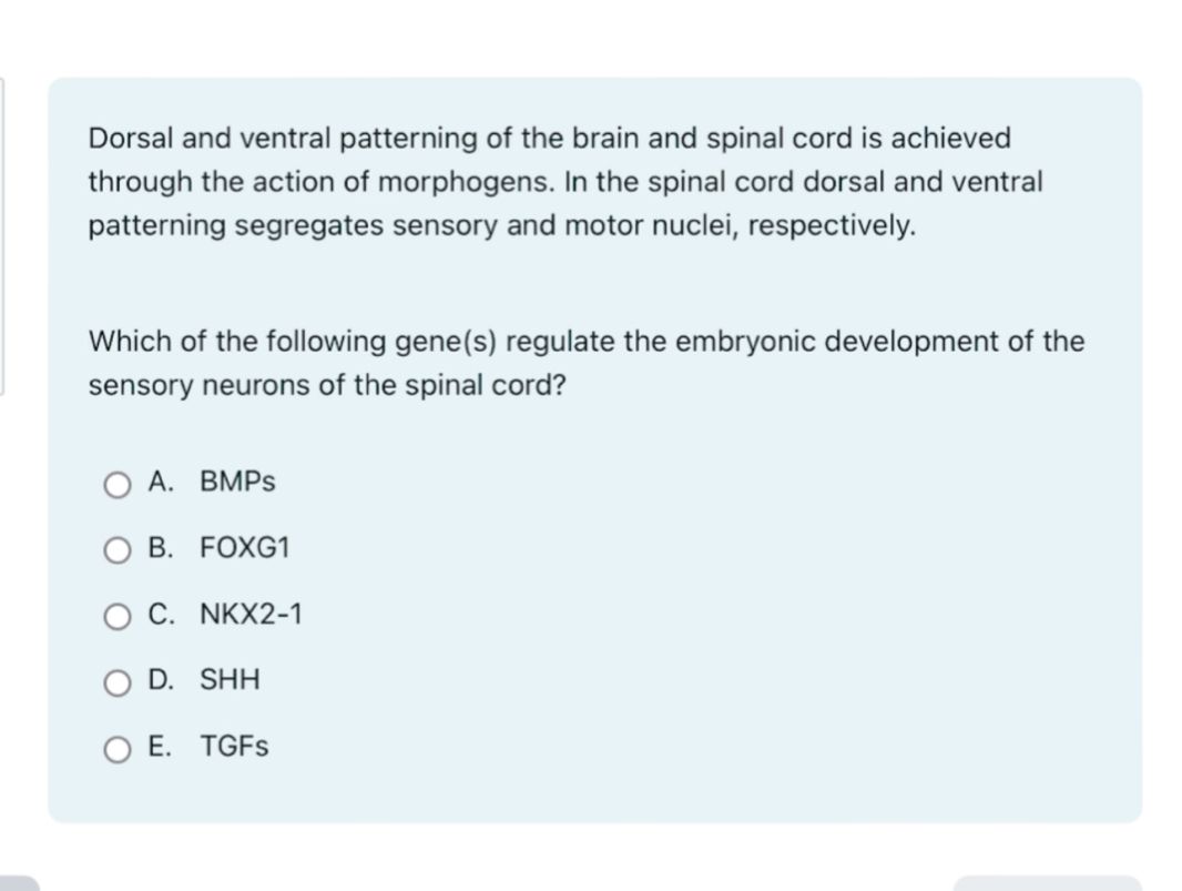 Solved Dorsal and ventral patterning of the brain and spinal | Chegg.com