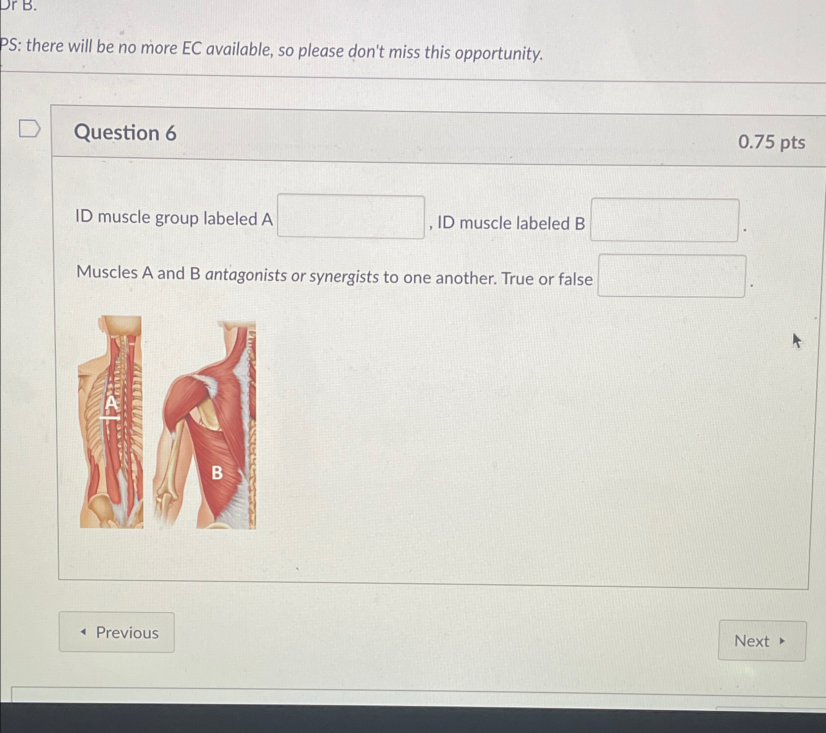 Solved PS: there will be no more EC available, so please | Chegg.com