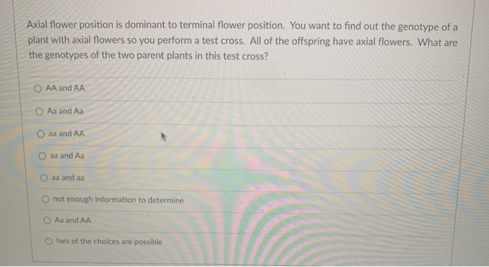 Solved Axial flower position is dominant to terminal flower | Chegg.com