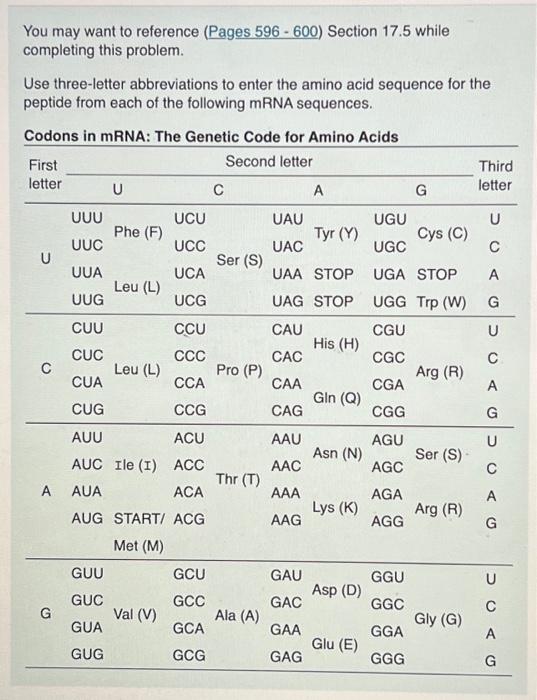 Solved Use three-letter abbreviations to enter the amino | Chegg.com