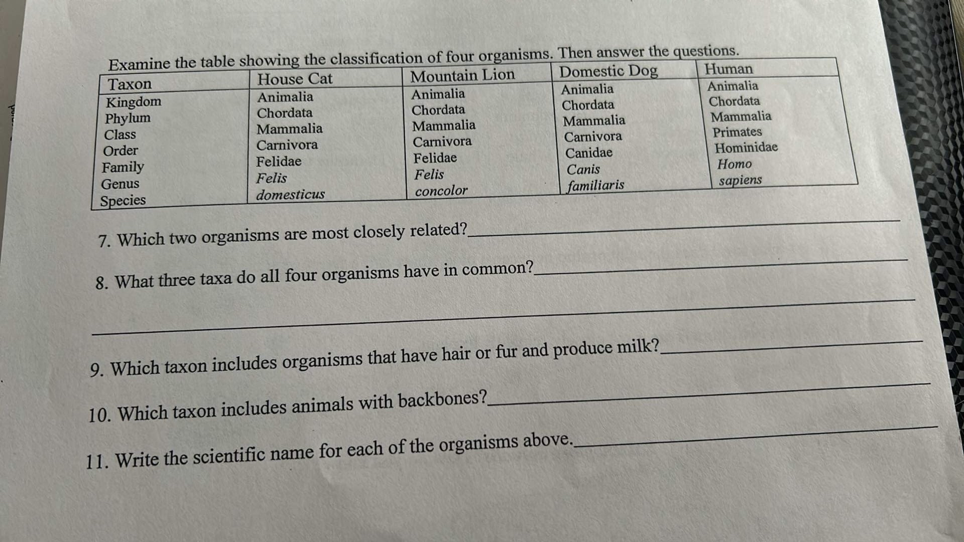Examine the table showing the classification of four | Chegg.com