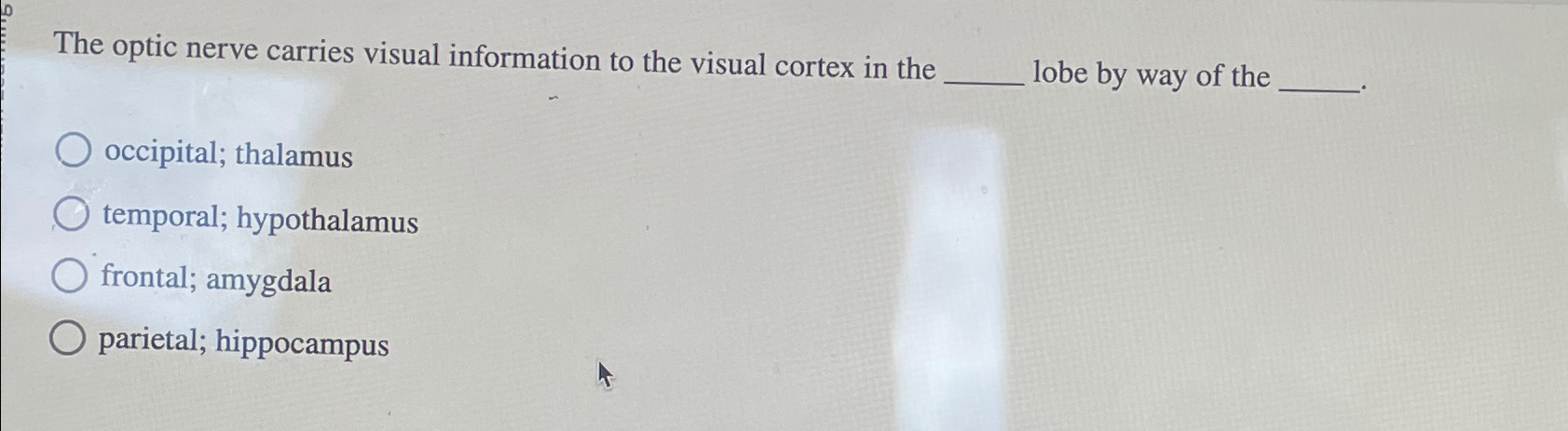 Solved The optic nerve carries visual information to the | Chegg.com
