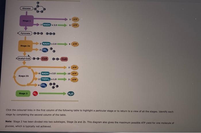 Solved Click the coloured links in the first column of the | Chegg.com