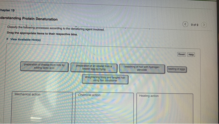 Solved Inderstanding Protein Denaturation of Reset Help | Chegg.com
