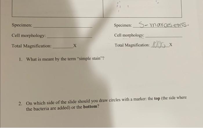 Solved Specimen: Cell morphology: Specimen:_S-marcesems. | Chegg.com