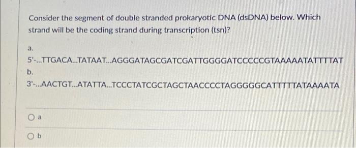 Solved Consider the segment of double stranded prokaryotic | Chegg.com