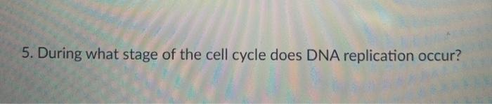 Solved 5. During what stage of the cell cycle does DNA | Chegg.com