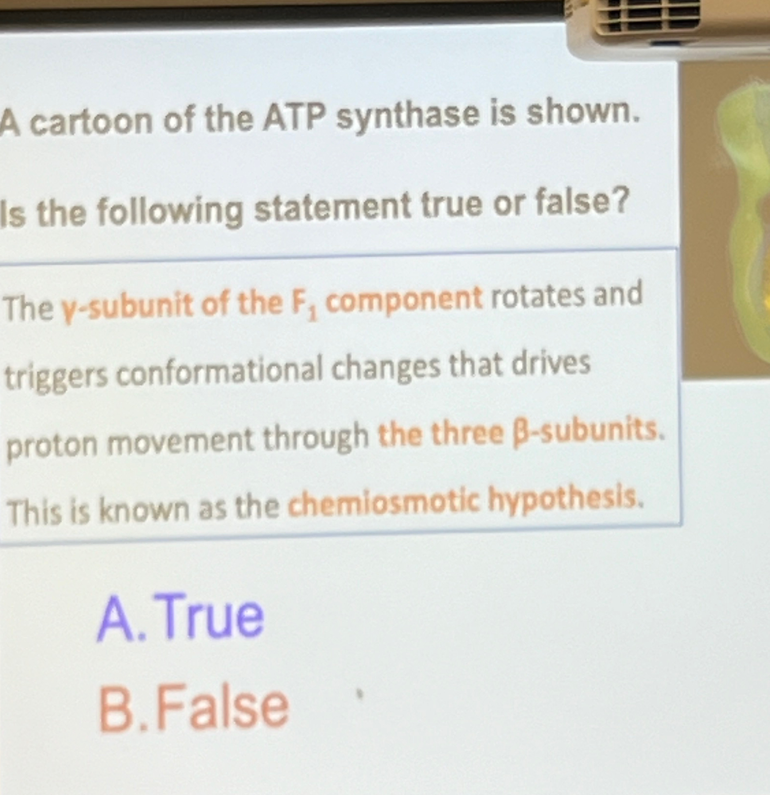 Solved A cartoon of the ATP synthase is shown.Is the | Chegg.com