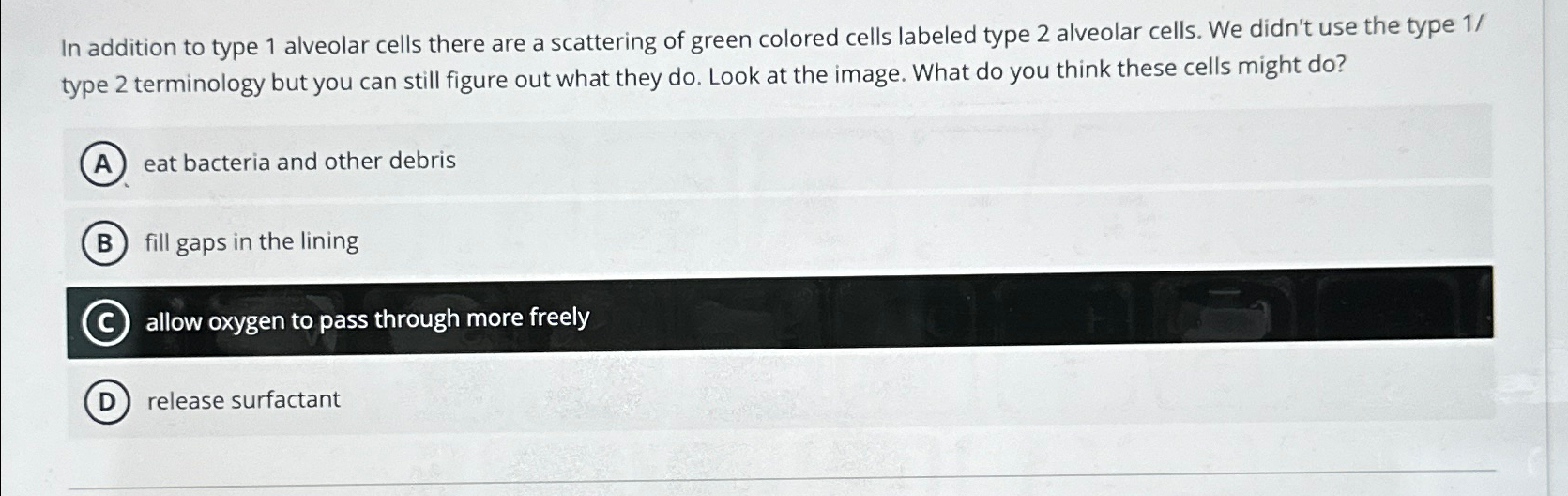 Solved In Addition To Type 1 ﻿alveolar Cells There Are A 0128