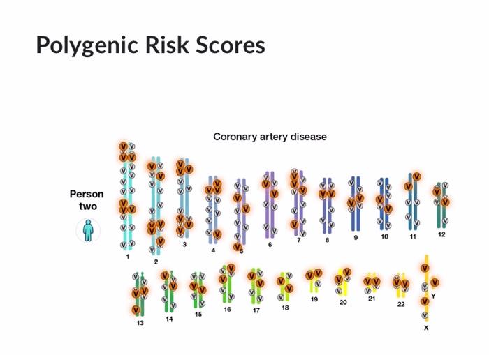 Solved Polygenic Risk Scores According to the resource, | Chegg.com