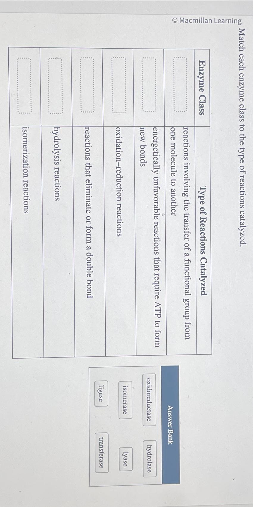 Solved ?∞ ﻿Match each enzyme class to the type of reactions | Chegg.com