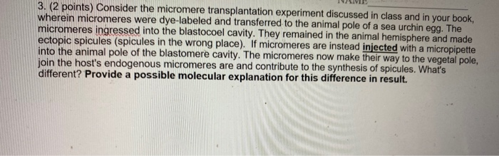 Solved 3. (2 points) Consider the micromere transplantation | Chegg.com