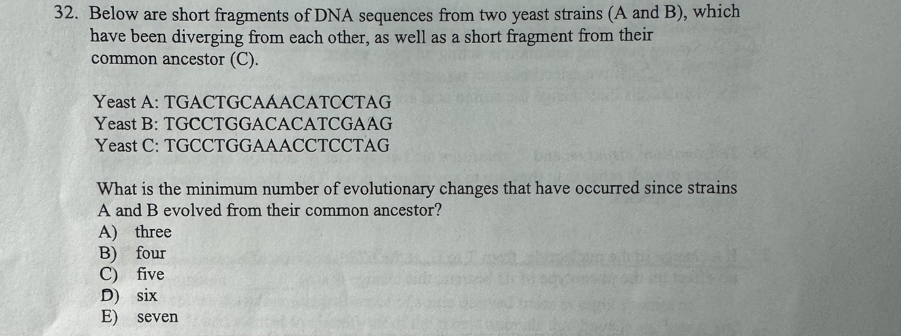 Solved Below are short fragments of DNA sequences from two | Chegg.com