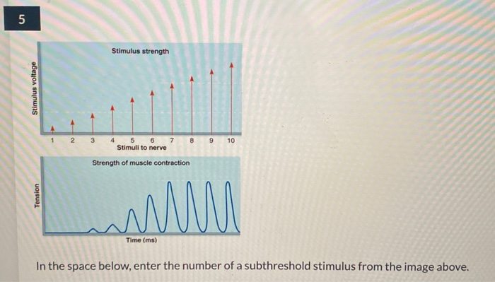 Solved 5 Stimulus strength Stimulus voltage 1 1 2 10 3 4 5 7 | Chegg.com