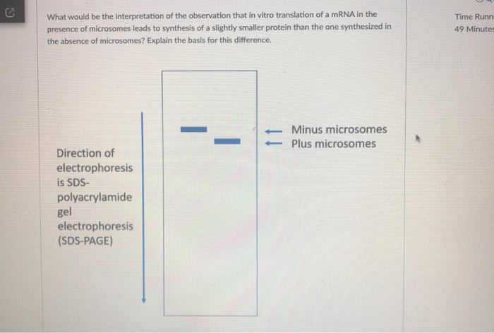 Solved What would be the interpretation of the observation | Chegg.com