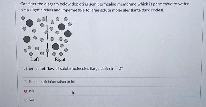Solved Consider the diagram below depicting semipermeable | Chegg.com