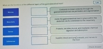 Solved What are the functions of the different layers of the | Chegg.com