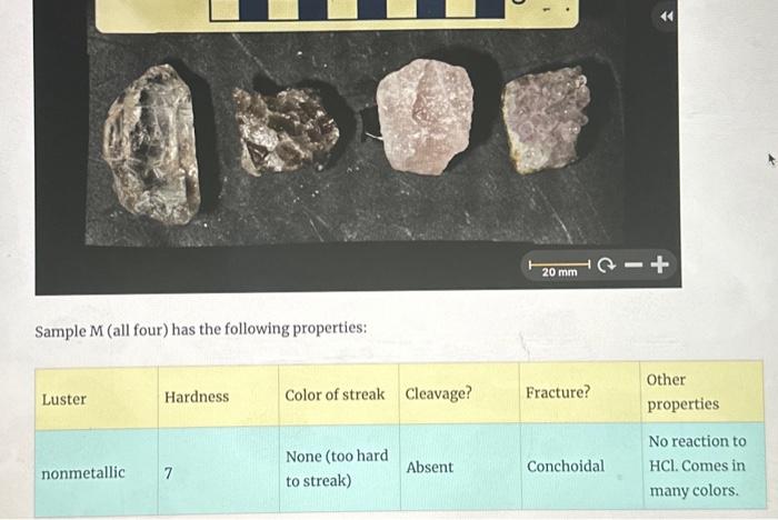 Solved Please answer all 5 questions, thank you! these are | Chegg.com