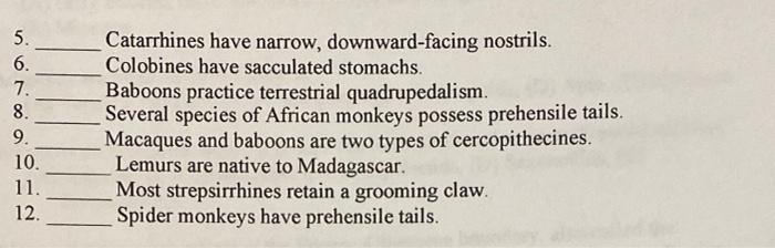 Solved TRUE OR FALSE!!!! Catarrhines have narrow, | Chegg.com