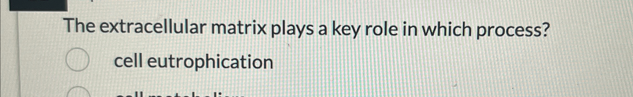 Solved The extracellular matrix plays a key role in which | Chegg.com