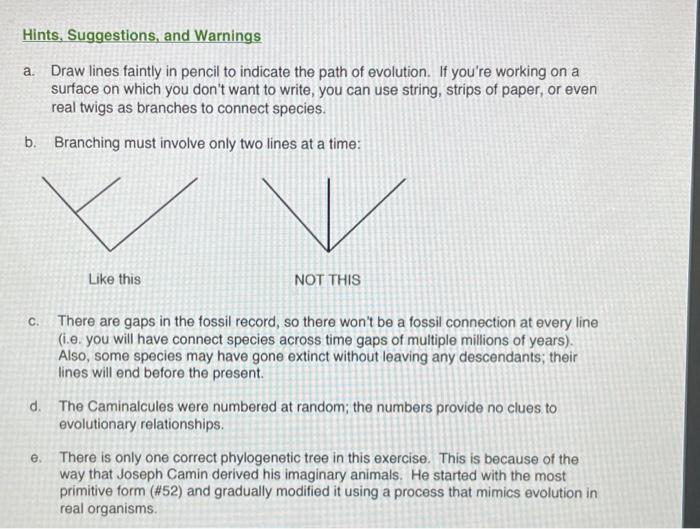 Exercise 4. Fossil Reconstruction of Caminalcules | Chegg.com
