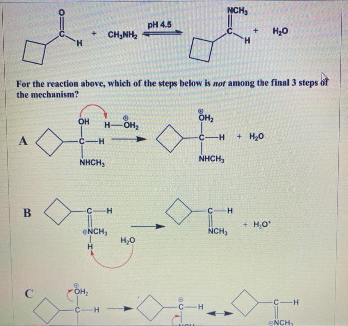 Solved NCH3 pH 4.5 O=0 C H2O M + CH3NH2 + H H یا For the | Chegg.com
