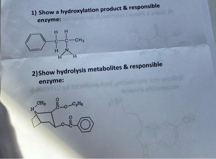 Solved 1) Show a hydroxylation product & responsible enzyme: | Chegg.com