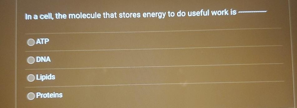 Solved In a cell, the molecule that stores energy to do | Chegg.com