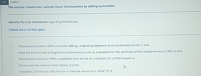 Solved 21\\nI polnt\\nThe encyme, telomerase, extends linear | Chegg.com