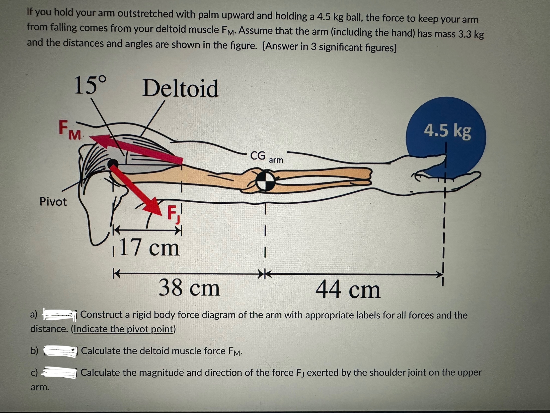 Solved If you hold your arm outstretched with palm upward | Chegg.com