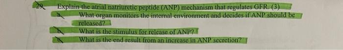 Solved 29 Explain the atrial natriuretic peptide (ANP) | Chegg.com