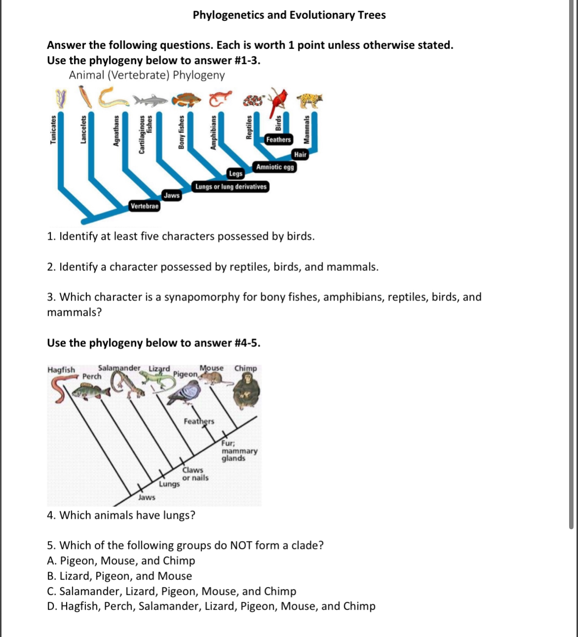 Solved Phylogenetics and Evolutionary TreesAnswer the | Chegg.com