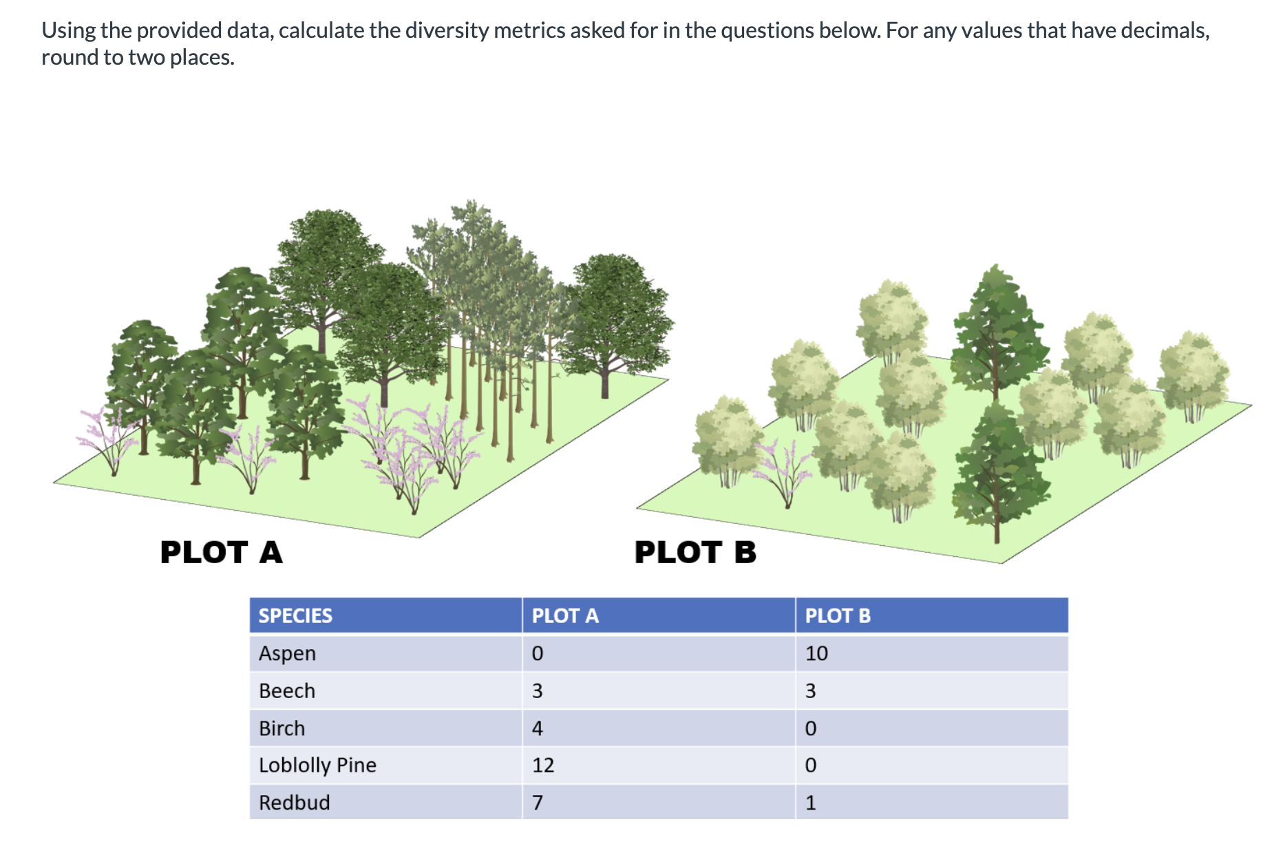 Solved Using the provided data, calculate the diversity | Chegg.com