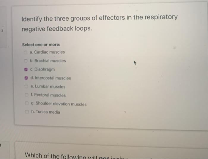 Solved Identify the three groups of effectors in the | Chegg.com