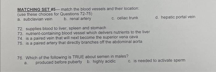 Solved MATCHING SET \#5- match the blood vessels and their | Chegg.com