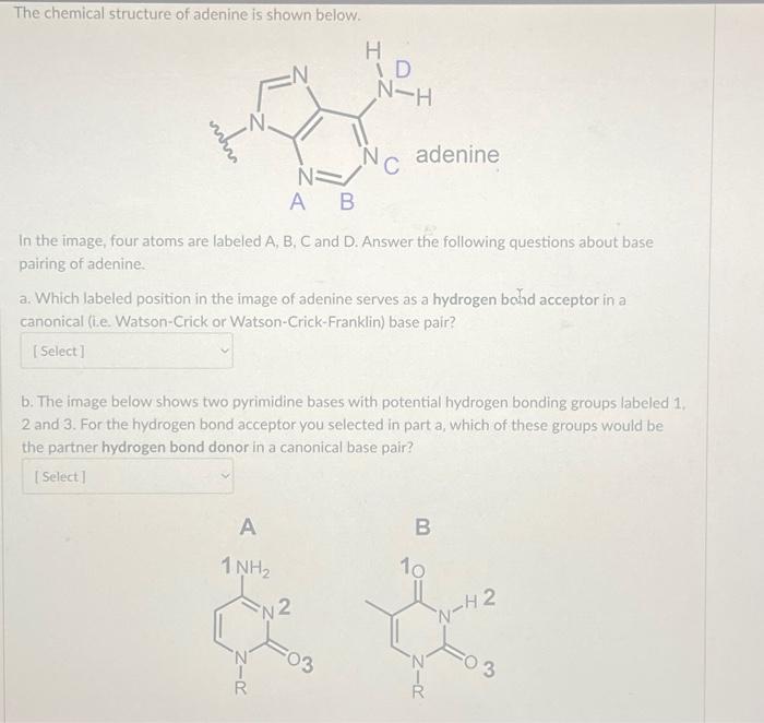 Solved In the image, four atoms are labeled A, B, C and D. | Chegg.com