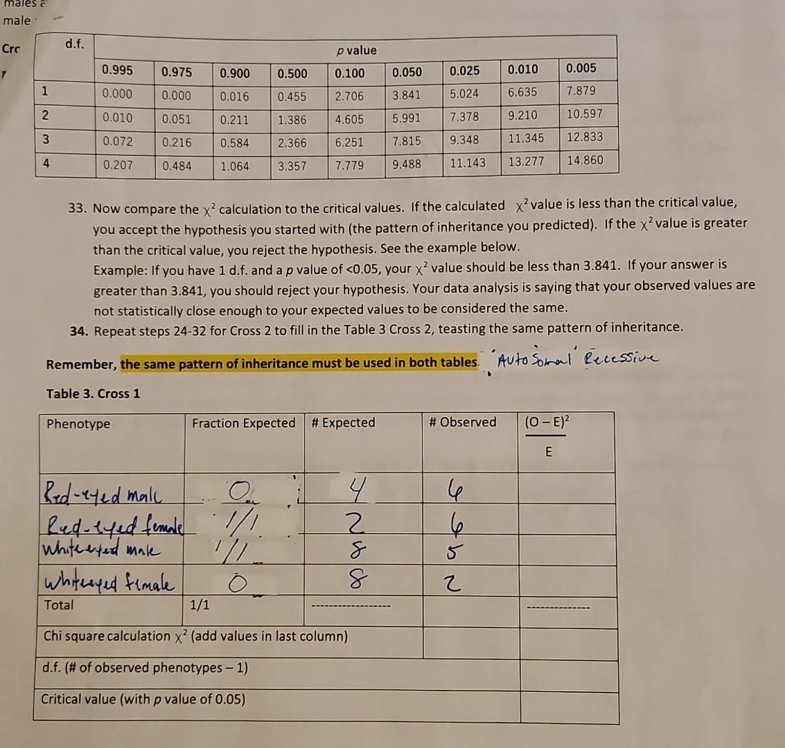 Solved 33. Now compare the χ2 calculation to the critical | Chegg.com