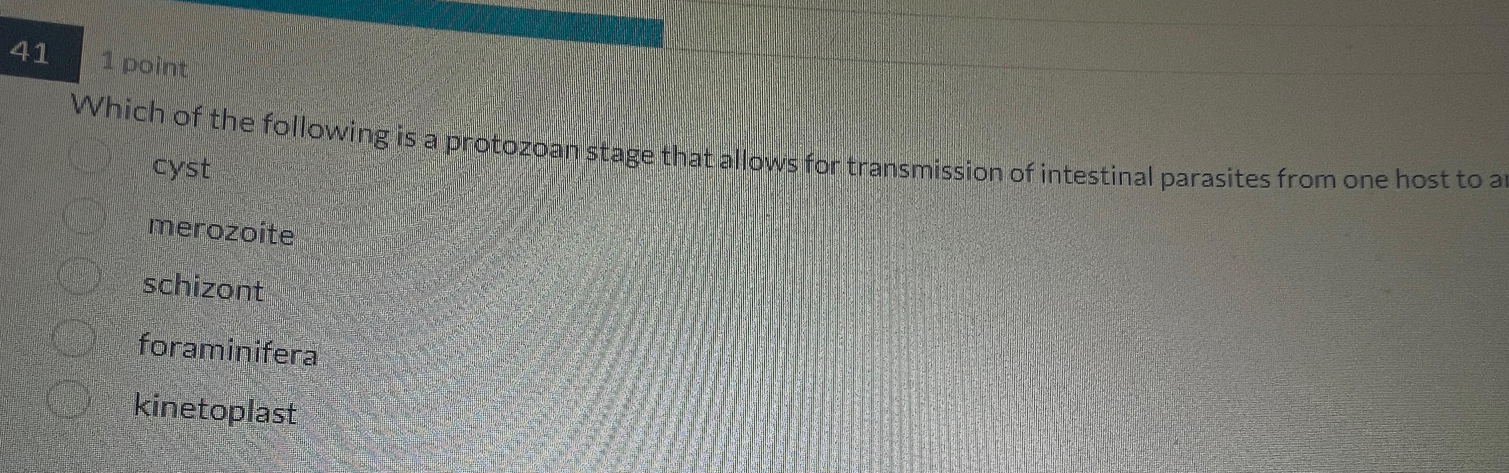 Solved 411 ﻿point:Which of the following is a protozoan | Chegg.com