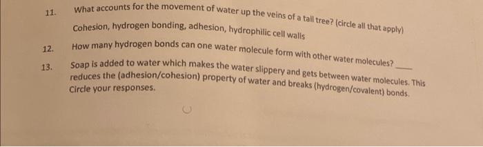 Solved 11. What accounts for the movement of water up the | Chegg.com