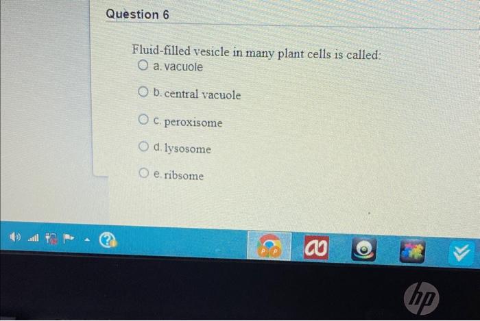 Solved Fluid Filled Vesicle In Many Plant Cells Is Called Chegg